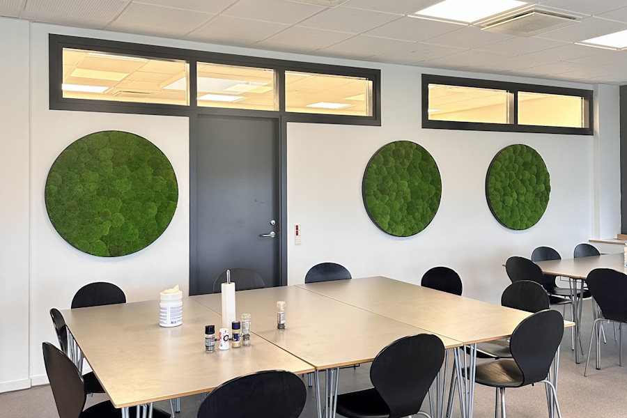 Moskugler (MosDecor ApS) | Byggematerialer.dk